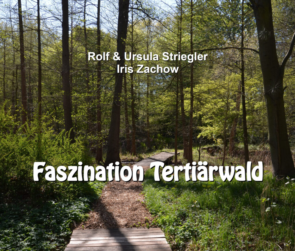 Buchvorstellung „Faszination Tertiärwald“ – NVN e.V. Cottbus